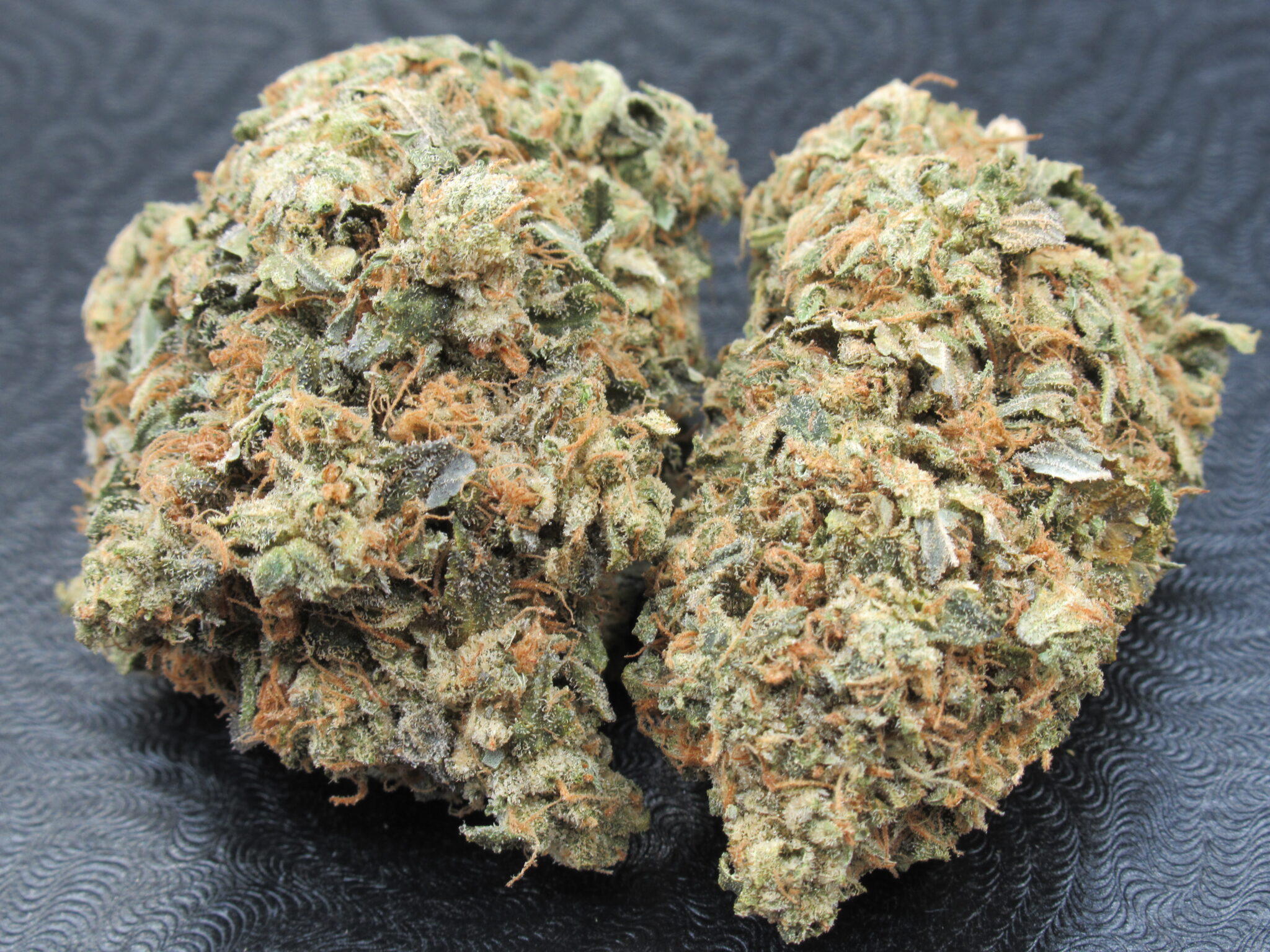 Mixed shake blend - BudBuddy 2022