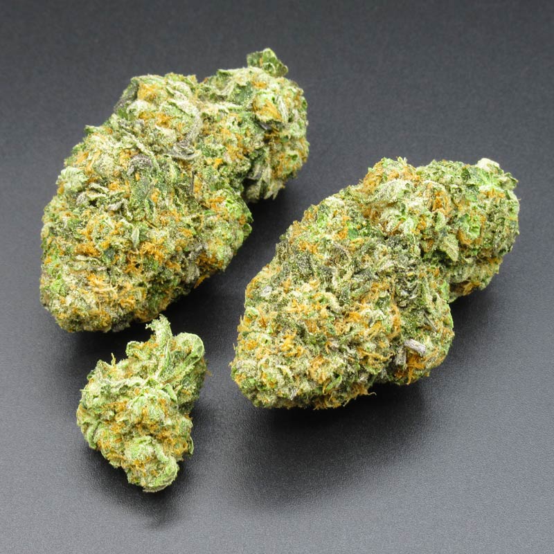 Large Cone Joints (1.4g) - BudBuddy 2022